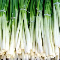 Fresh Green Leek at Best Price in Delhi, Delhi | Deep Vegetables Company