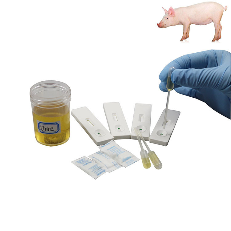 Pig Pregnancy Test Kit at Best Price in Shijiazhuang | Hebei Qinhui ...