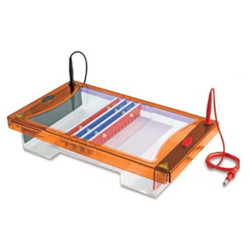 Maxi And Maxi Plus Horizontal Gel Electrophoresis System at Best Price ...