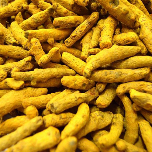 Pure Turmeric Stick at Best Price in Kasargod, Kerala | Oscine Trading ...