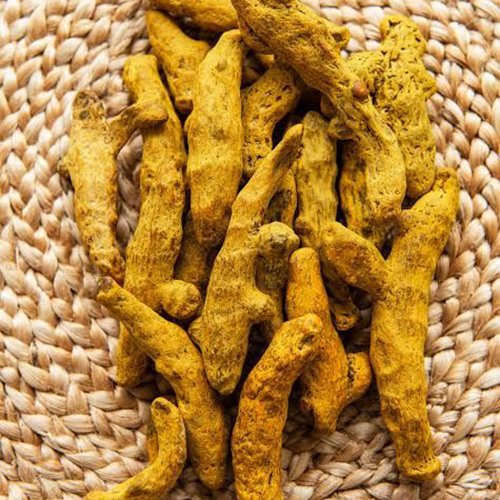 Fresh Turmeric Stick at Best Price in Kasargod, Kerala | Oscine Trading ...