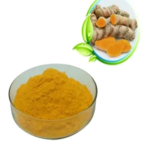 Yellow Curcuma Longa Extract at Best Price in New Delhi | Natural Hub