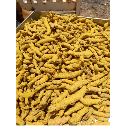 Turmeric Finger - Bright Yellow-orange Root Spice Powder, Earthy Flavor ...