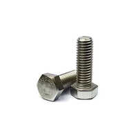 Silver Hex Bolt at Best Price in Mumbai, Maharashtra | Yuvi Metal ...