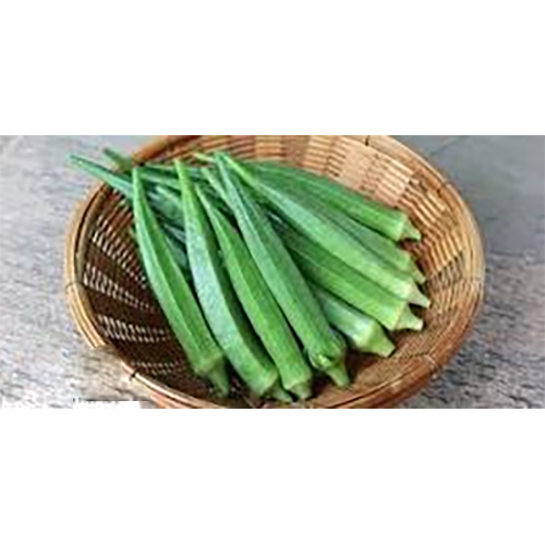 Natural Lady Finger at Best Price in New Delhi, Delhi | Rds Impex ...