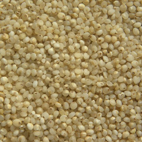Organic Food Grade Barn Yard Millet at Best Price in Ahmedabad ...