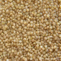 Organic Food Grade Little Millet at Best Price in Ahmedabad ...
