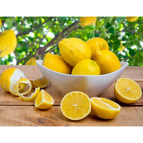 Natural Fresh Lemon at Best Price in Navi Mumbai, Maharashtra | Dariya ...