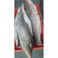 Emperor Gg Fish at Best Price in Tuticorin, Tamil Nadu | Kiefer Sea Foods