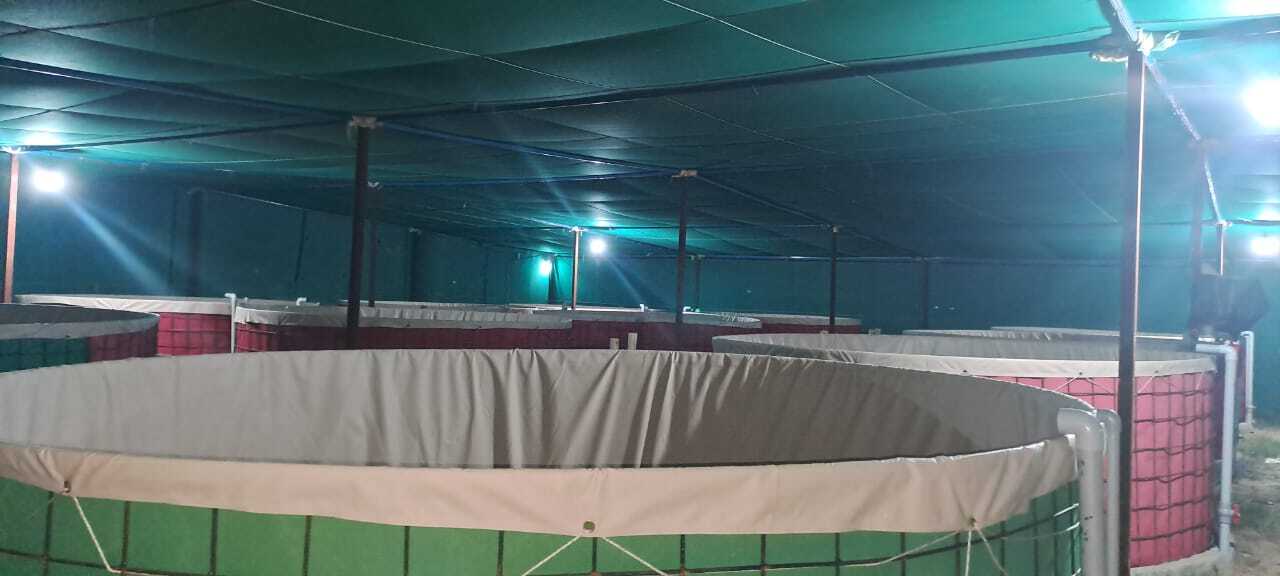 Biofloc Fish Farming Tank at 4494.00 INR in Sujangarh | Muan Industries