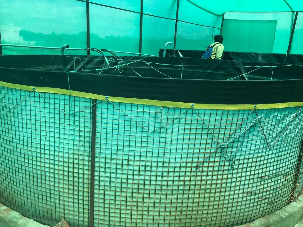 Biofloc Fish Farming Tank at 4494.00 INR in Sujangarh | Muan Industries