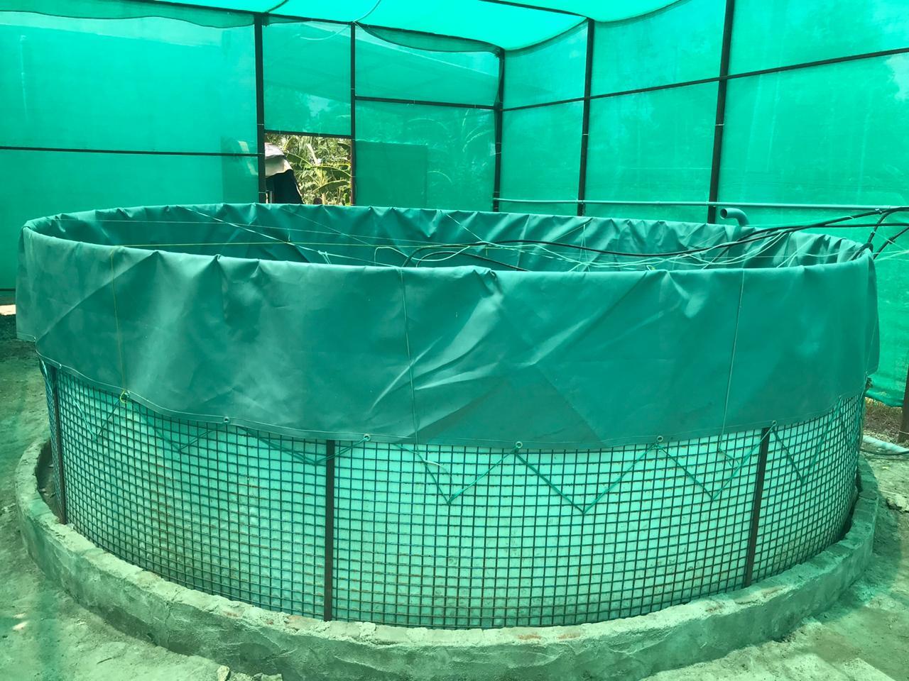 Biofloc Fish Tank at 8085.00 INR in Sujangarh, Rajasthan | Muan Industries