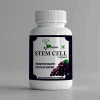 Herbal Medicine Stem Cell Capsule at Best Price in Jaipur | P R Herbal