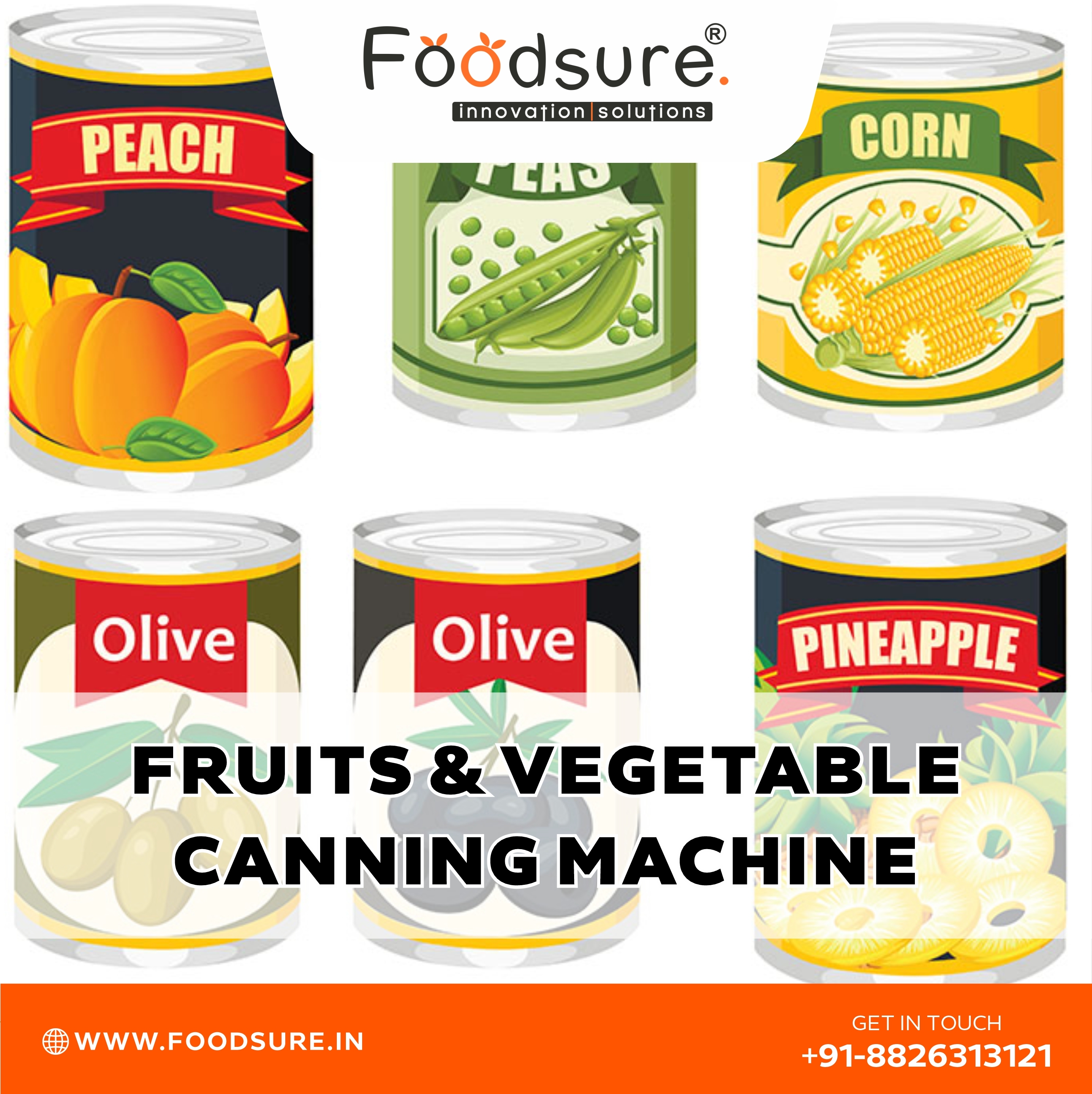 Fruits And Vegetable Canning Machine at 2360000.00 INR in Delhi | Foodsure
