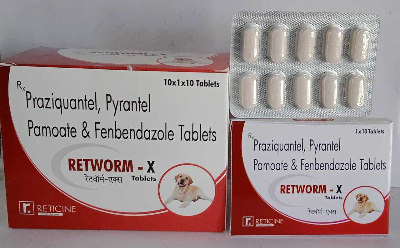 Calcium Phosphorus Bolus Veterinary at Best Price in Ambala Cantt ...