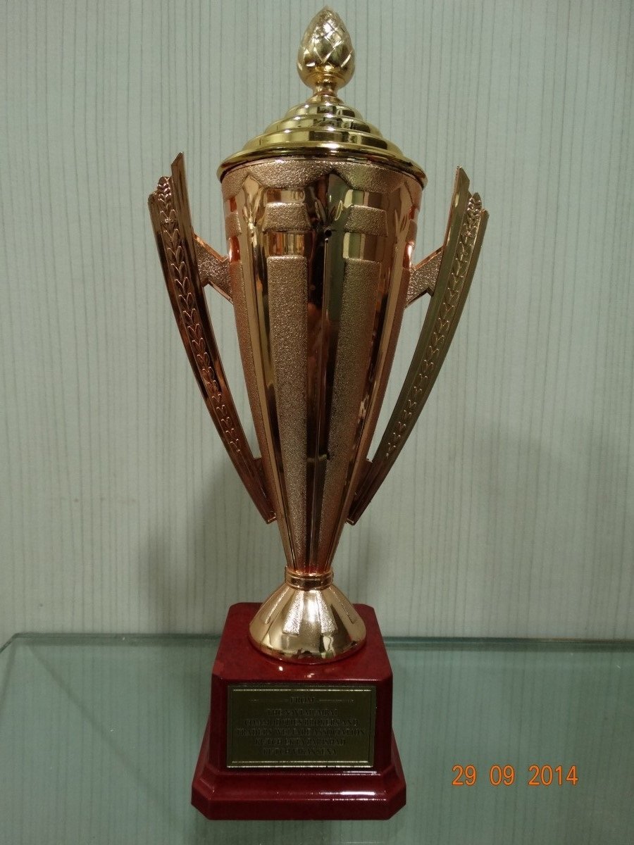 Dvr Trophy at 5500.00 INR in Mumbai, Maharashtra | Innovative Krish ...