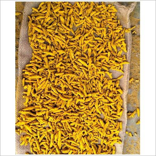Yellow Organic Turmeric at Best Price in Lalkuan, Uttarakhand | Herbal ...