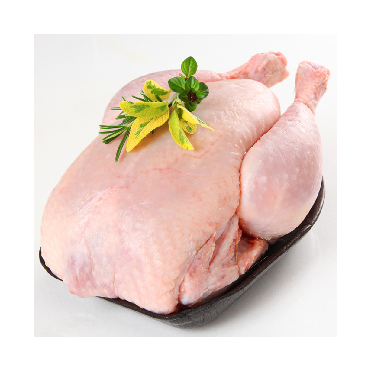 Trans-fan Frozen Fresh Chicken Quality Frozen Whole Halal Chicken at ...