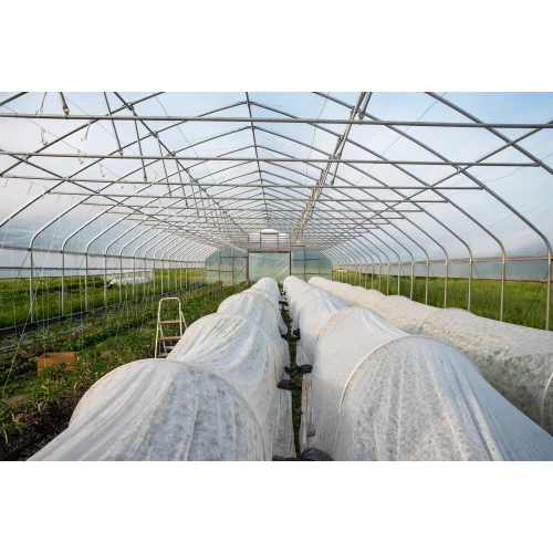 Non Woven Fabric For Crop Cover - Color: Blue at Best Price in Paddhari ...