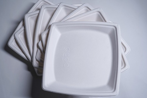 White Mid Size Biodegradable Sugarcane Bagasse Plate at Best Price in ...