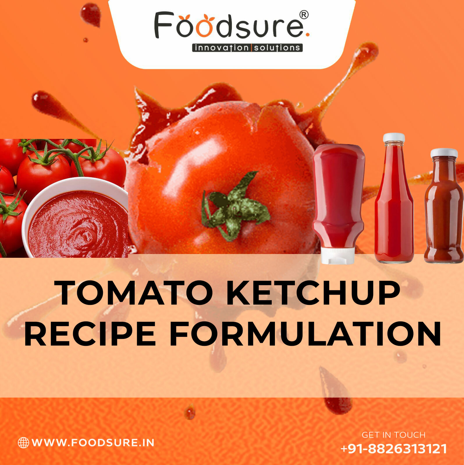 Food Formulation at 75000.00 INR in Delhi, Delhi | Foodsure