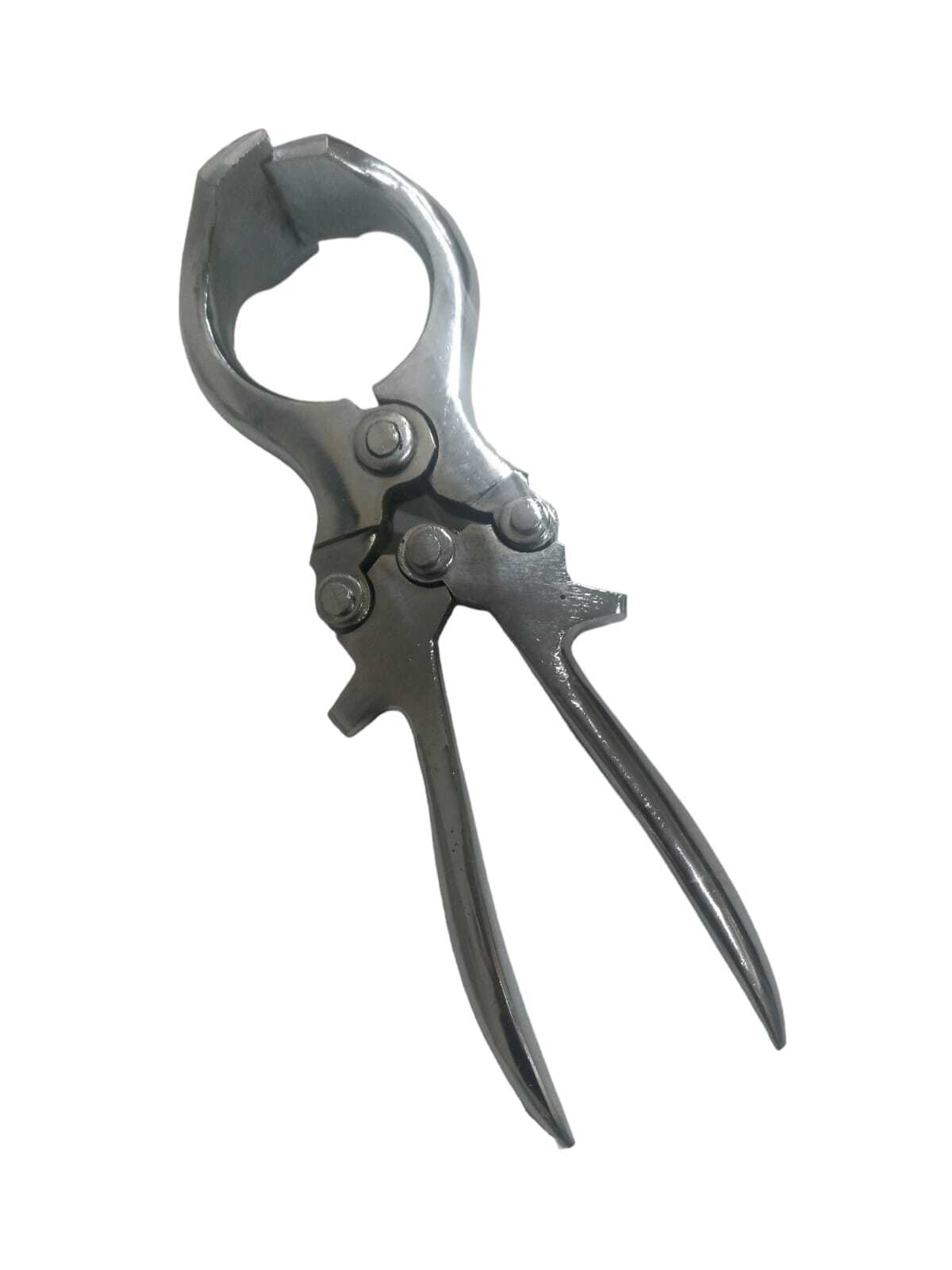 Castration Tool For Goat 9 Inches at Best Price in New Delhi | Shakya ...