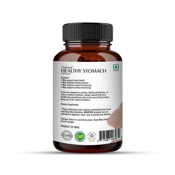 Healthy Stomach Capsules - Natural Herbal Digestive Wellness Support ...