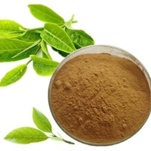 Green Tea Extract Powder Grade: First Class at Best Price in Jaipur ...