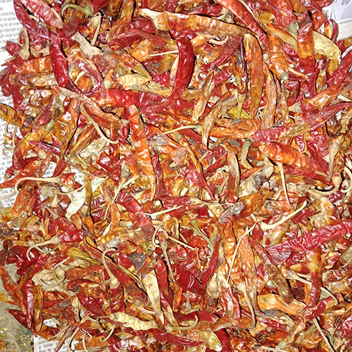 12 Number Fatki Dry Red Chilli Weight: As Per Requirement Kilograms (kg ...