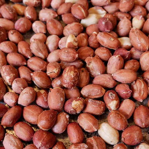 Common Natural Peanuts at Best Price in Lahaul and Spiti, Himachal ...