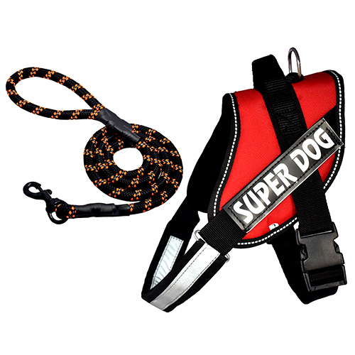 Red Harness Set - High-quality Polyester, Customized Fit For All Sizes ...