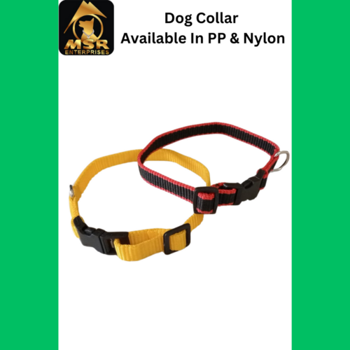 Single Layer Adjustable Dog Collar Pp / Nylon - 1.5 Inch Size ...