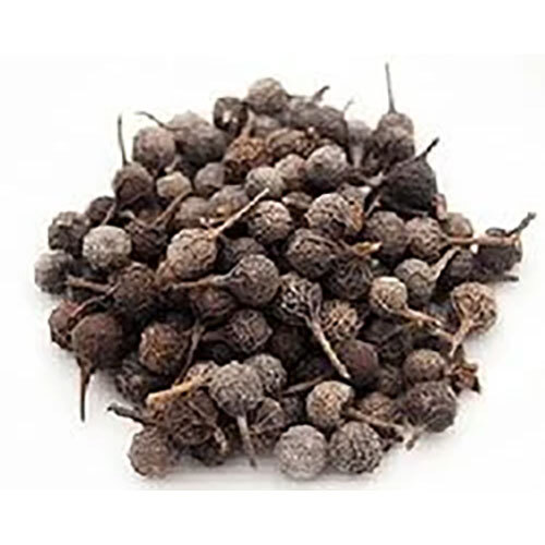 Embelia Ribes Extract ( Vavding ) at Best Price in Sabarkantha ...