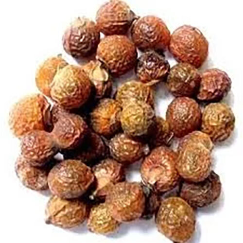 Sapindus Trifoliatus Extract ( Aritha ) at Best Price in Sabarkantha ...