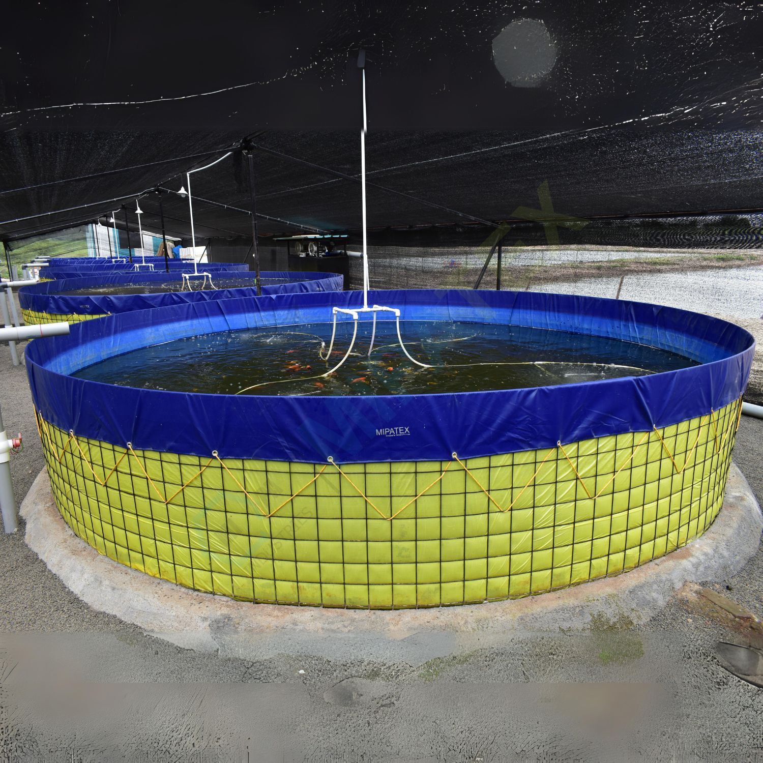 Biofloc Tank at Best Price in Pune, Maharashtra | Mipa Industries