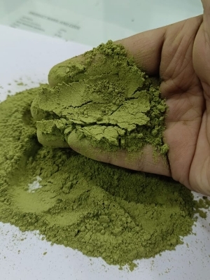 Dehydrated Moringa Powder Shelf Life: 1 Years at Best Price in Nashik ...