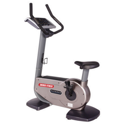 Commercial Upright Bike - Application: Gain Strength at Best Price in ...