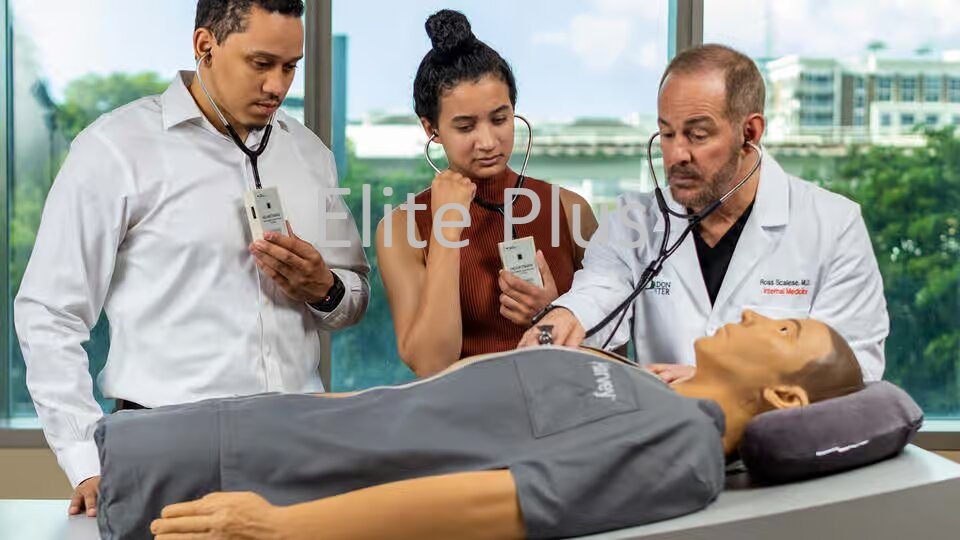 Harvey The Cardiopulmonary Patient Simulator at Best Price in Pune ...