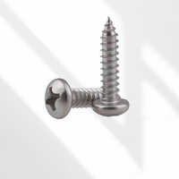 Silver M2 Ss304 Pan Philips Head Tapping Screw at Best Price in Delhi ...