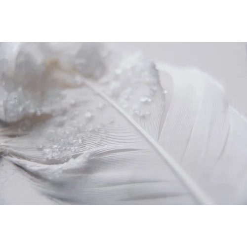 Powersoft 180 - Silicone Emulsion Concentrate at Best Price in ...