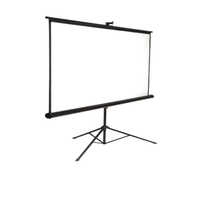 Office Projector Screen With Stand Application: Industrial at Best ...