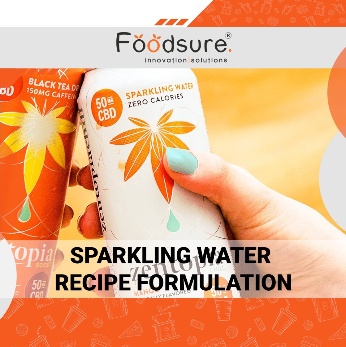 Sparkling Water Recipe Formulation at 300000.00 INR in Delhi | Foodsure