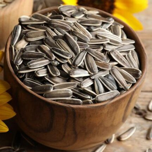 Common Sunflower Seeds at Best Price in Dehradun, Uttarakhand ...