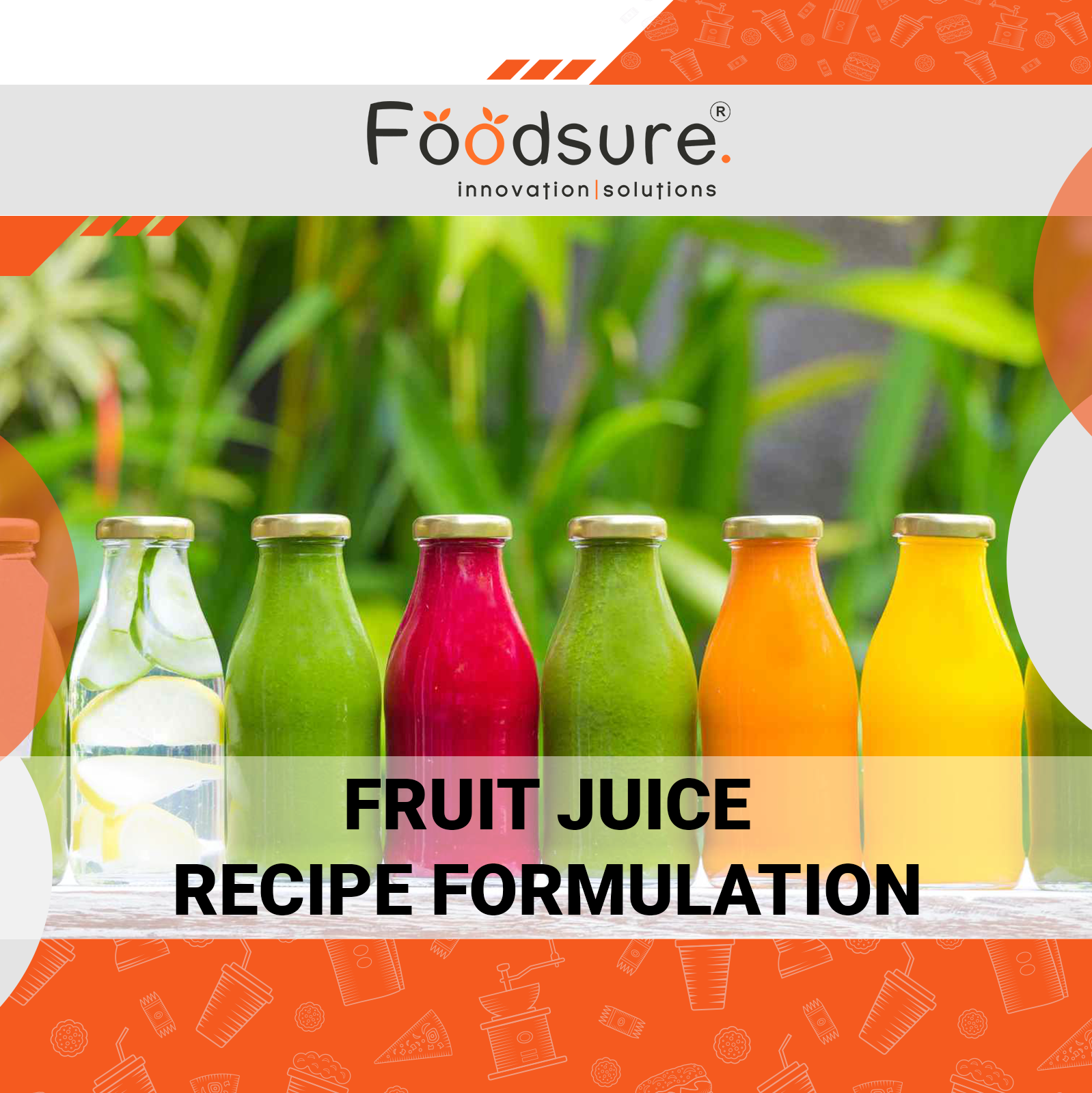 Fruit Juice Recipe Formulation at Best Price in Delhi | Foodsure