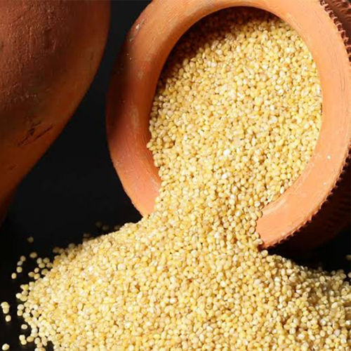 Common Foxtail Millet Rice at Best Price in Hyderabad | Pureli Bio ...
