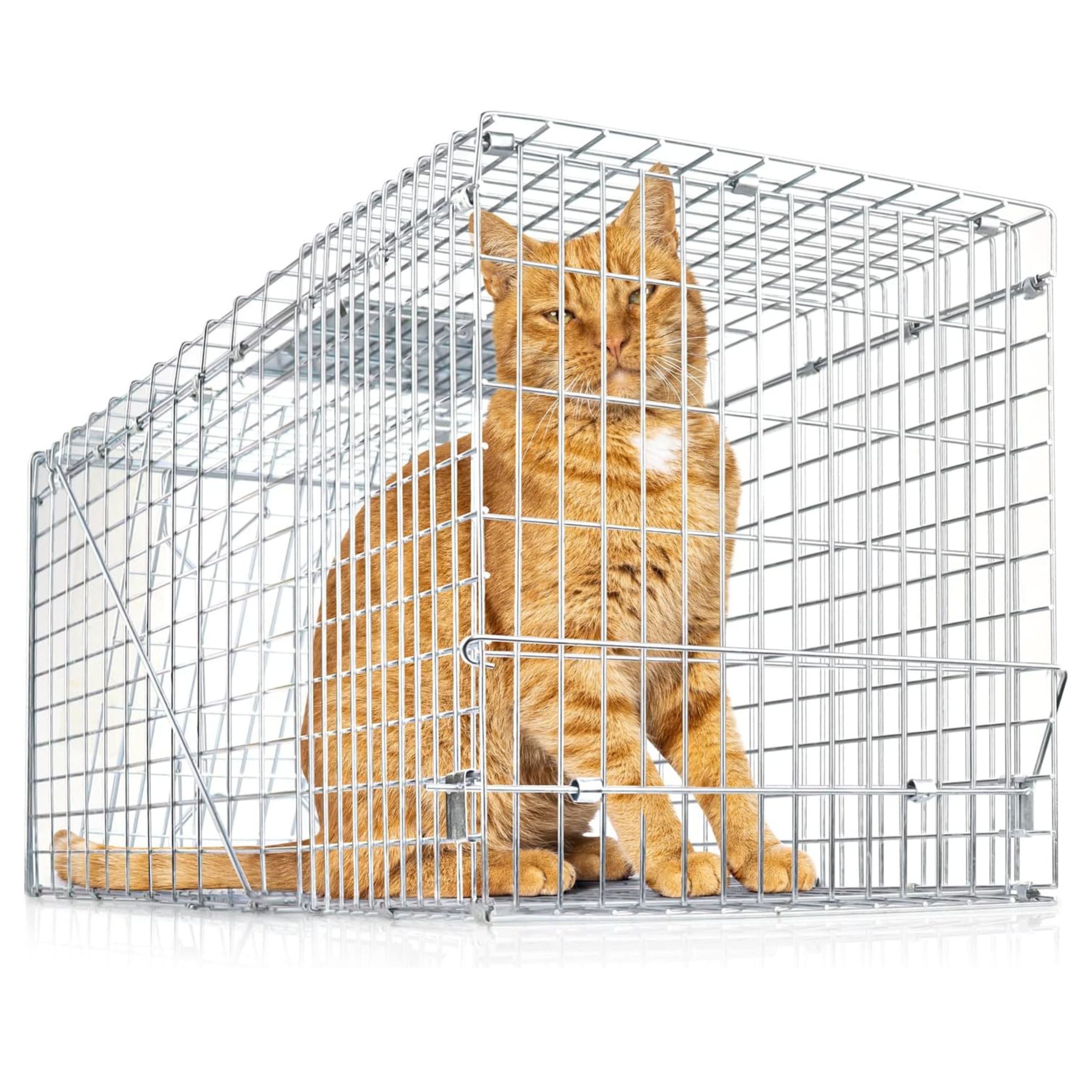 Cat Trap Cage 31Inch | Live Animal Trap - Application: Garden And ...
