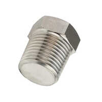 Ss Pipe Plugs at Best Price in Mumbai, Maharashtra | Raw Steel And Alloys