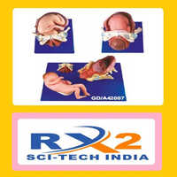 Demonstration Model Of Child Birth at Best Price in Greater Noida | Rx2 ...