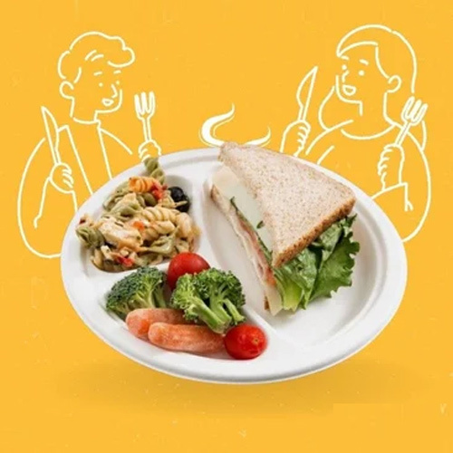 10 Inch 3cp Plate - Bagasse Material, White Color | Eco-friendly Design ...