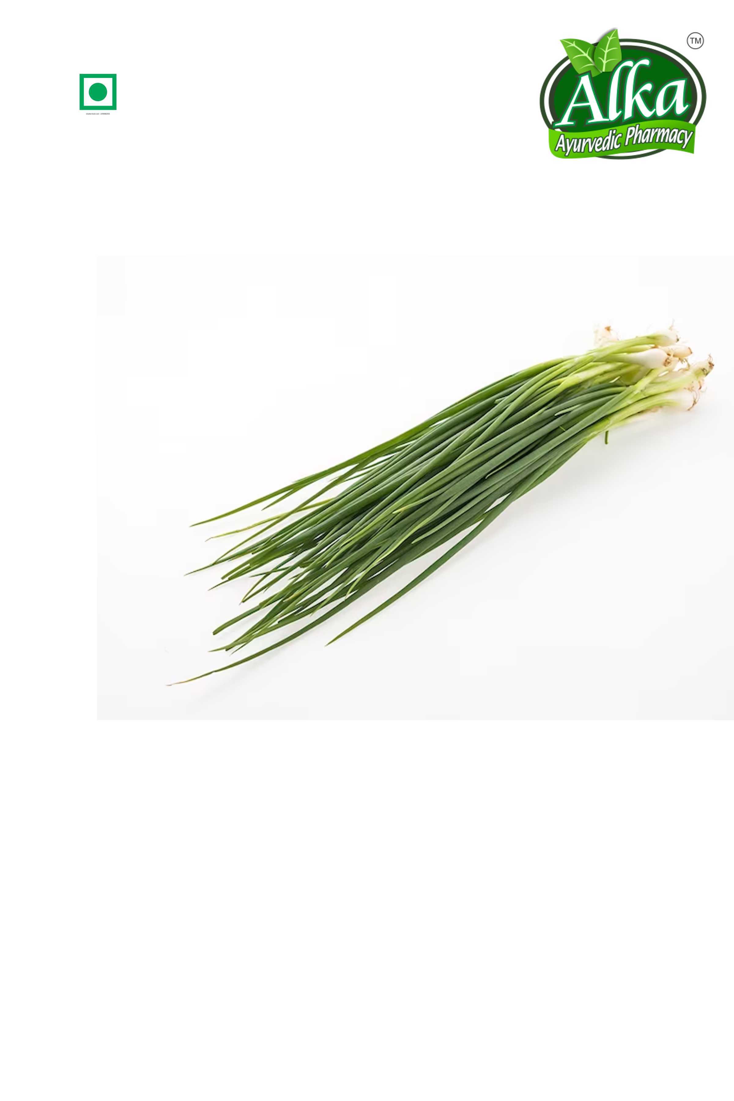 Lemon Grass Powder - Age Group: For Adults at Best Price in Ahmedabad ...